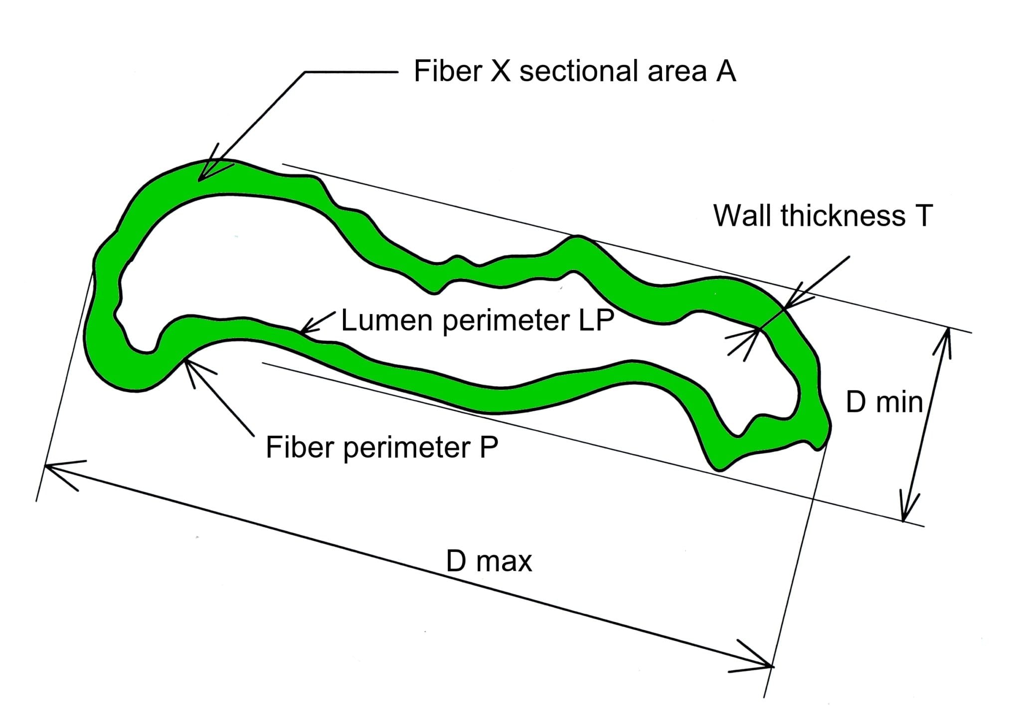 Taking advantage of NBSK pulp for soft and strong tissue grades ...